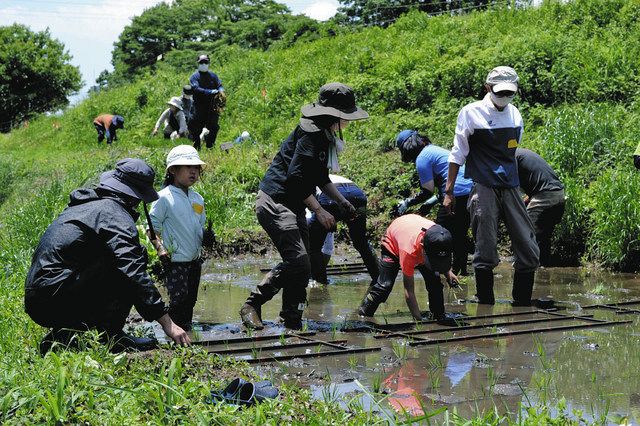 丹沢の自然に包まれ 農業体験をしよう 先着30家族を募集 14日まで受け付け東京新聞デジタル