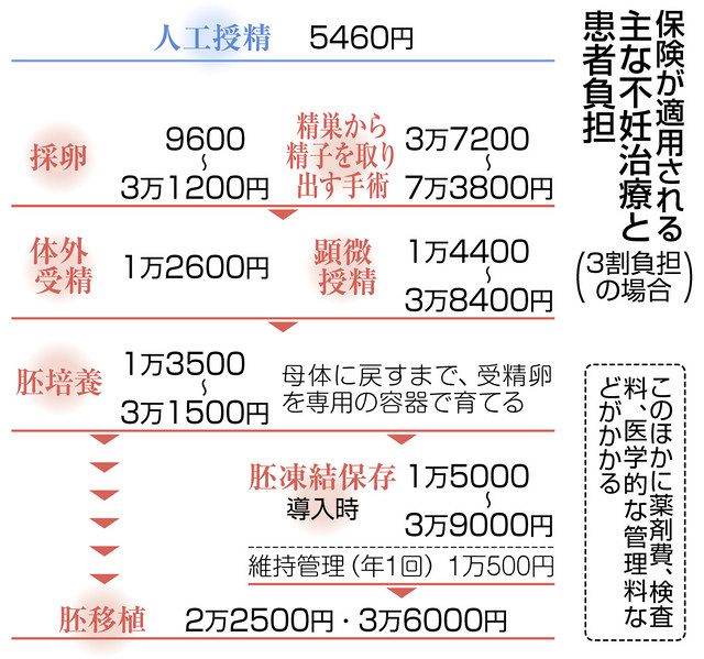 不妊治療 保険拡大スタート 効果と負担 どう選択:東京新聞デジタル