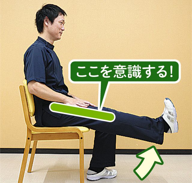 ＜フレイルを防ぐ!! ずっと健康に＞在宅活動プログラム「HEPOP」 転びにくい体をつくる （2）バランス向上パック：東京新聞デジタル