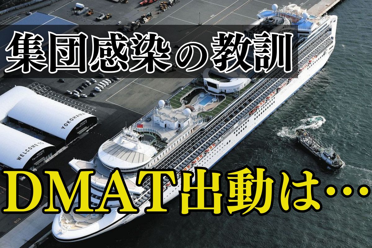 大型船でのクラスターは「災害」…異例のDMAT出動 重度別に対応した「神奈川モデル」は全国のお手本に：東京新聞デジタル