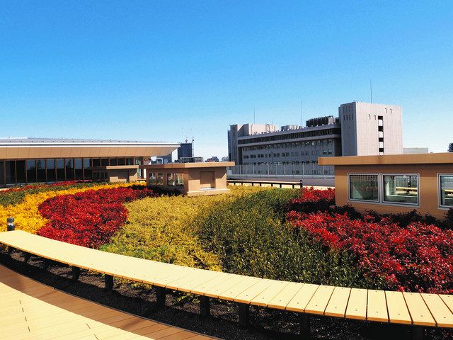 今春利用開始 千葉市役所新庁舎 きょう竣工式と見学会 市民向けの空間充実:東京新聞 Tokyo Web