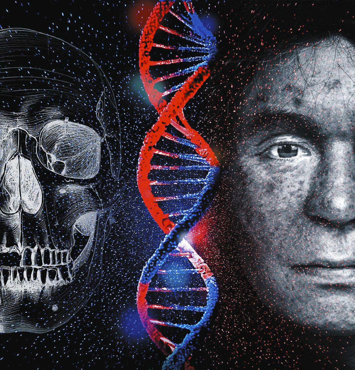 特別展「古代DNA―日本人のきた道―」15日開幕 国立科学博物館（東京・上野） 最新研究による日本列島集団の成立史：東京新聞デジタル