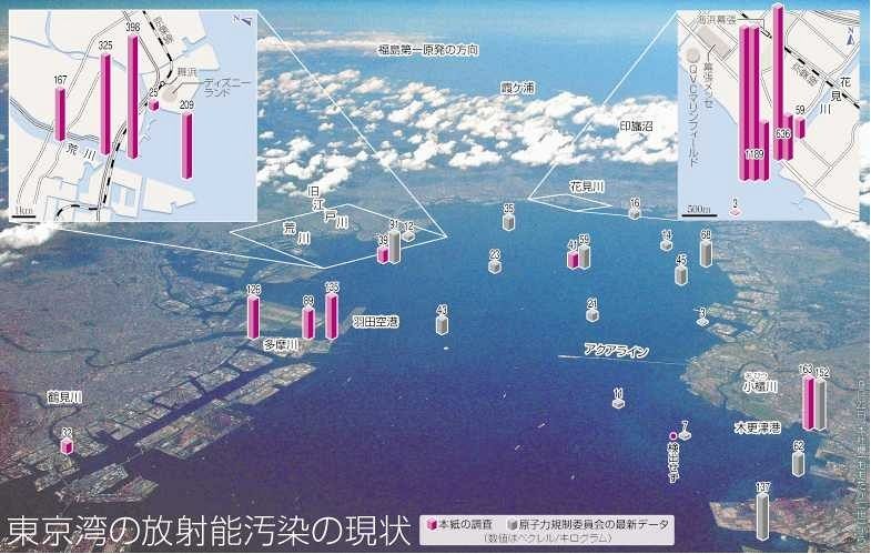 東京湾の放射能汚染の現状 国の発表とズレ：東京新聞デジタル