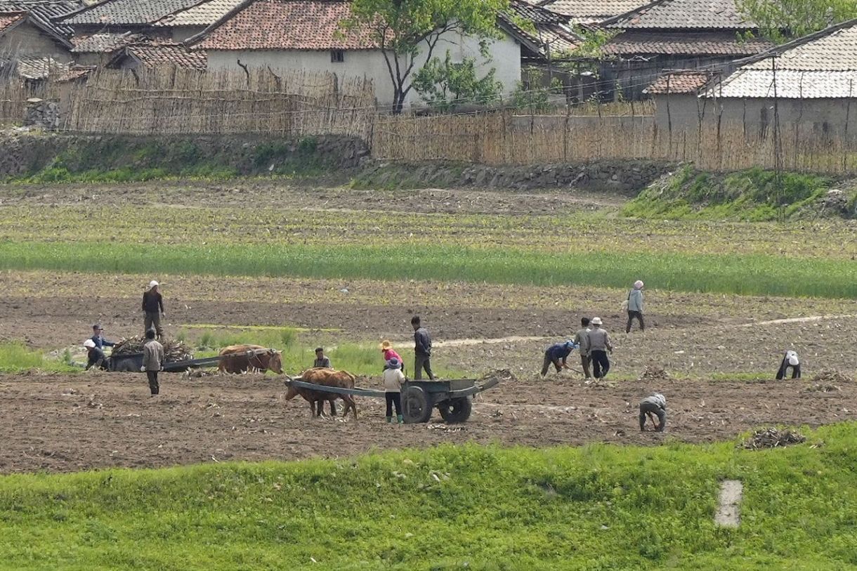 北朝鮮で干ばつ警報 15年以降で降水量最少：東京新聞デジタル