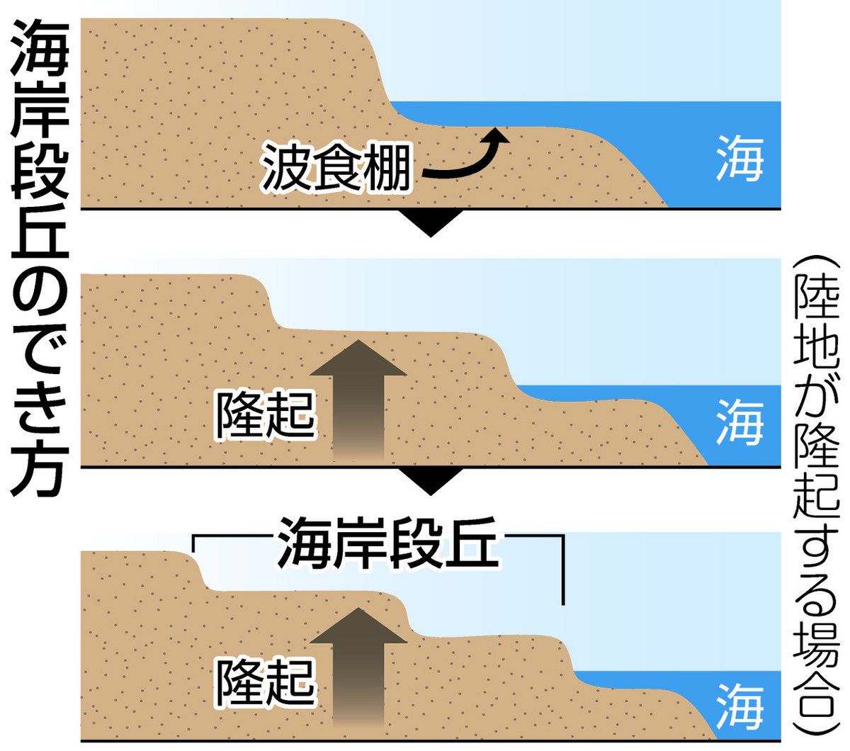 能登半島地震 ～海沿い景観一変～ 繰り返された大規模隆起 最大4メートル 新たな海岸段丘が出現：東京新聞 TOKYO Web
